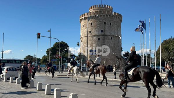 Θεσσαλονίκη: Θεαματική «παρέλαση» τριάντα αλόγων σε κεντρικούς δρόμους ...