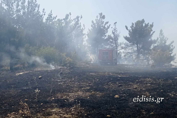 Πυρκαγιά ξέσπασε έξω από το Χωρύγι Κιλκίς. Η άμεση κινητοποίηση ...